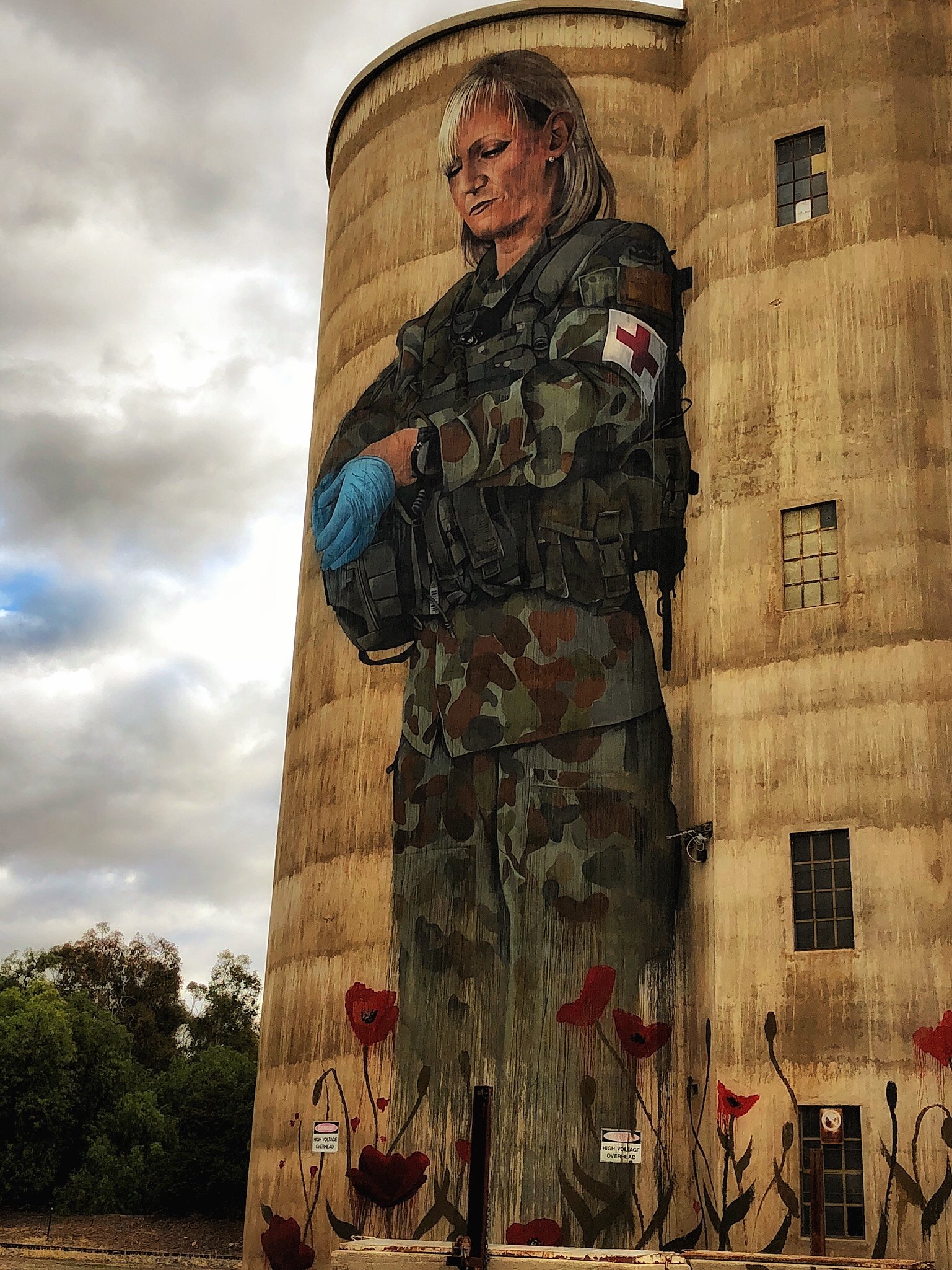 Devenish Silo Art
