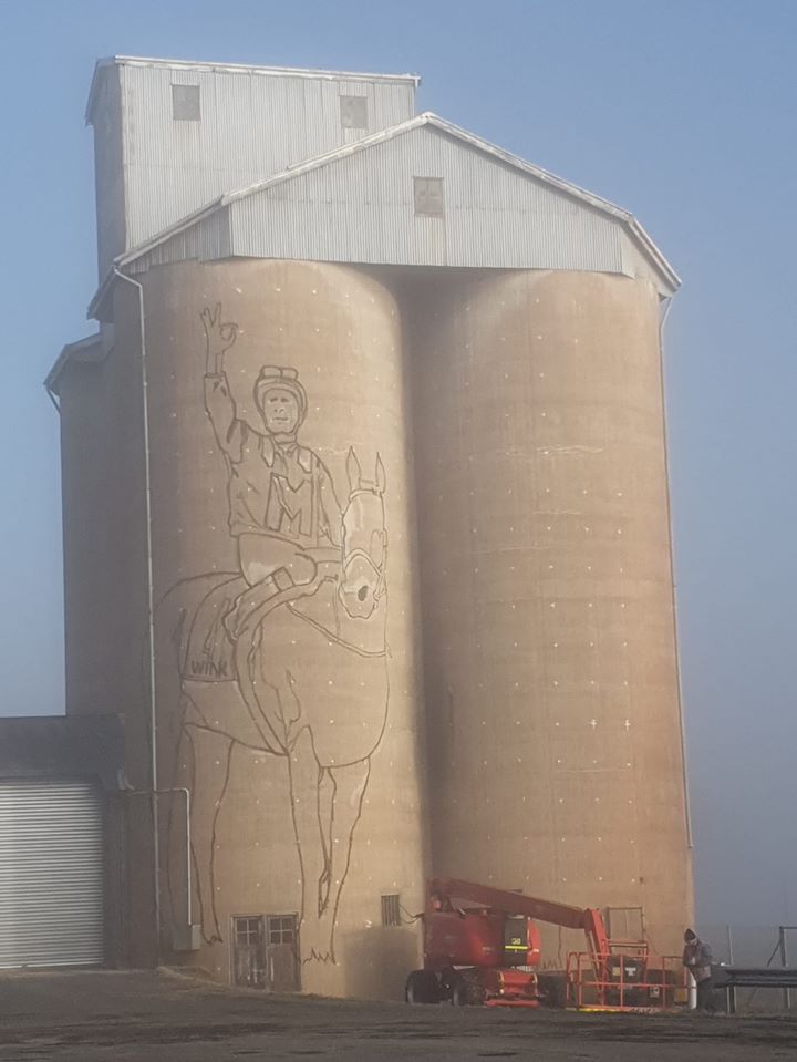 Dunedoo Silo Art