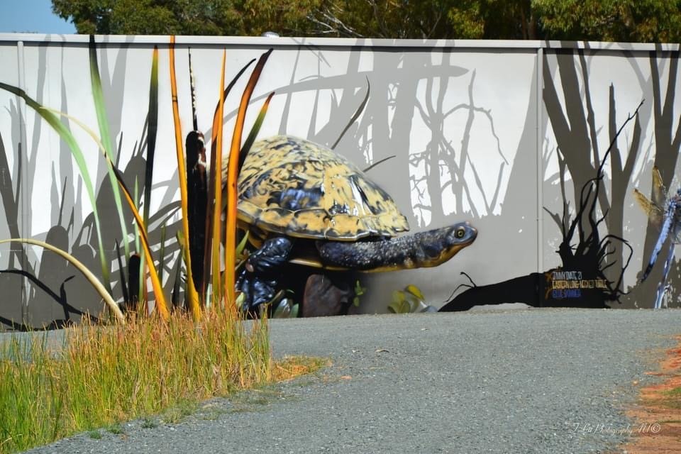 Kyabram Water Tank Art