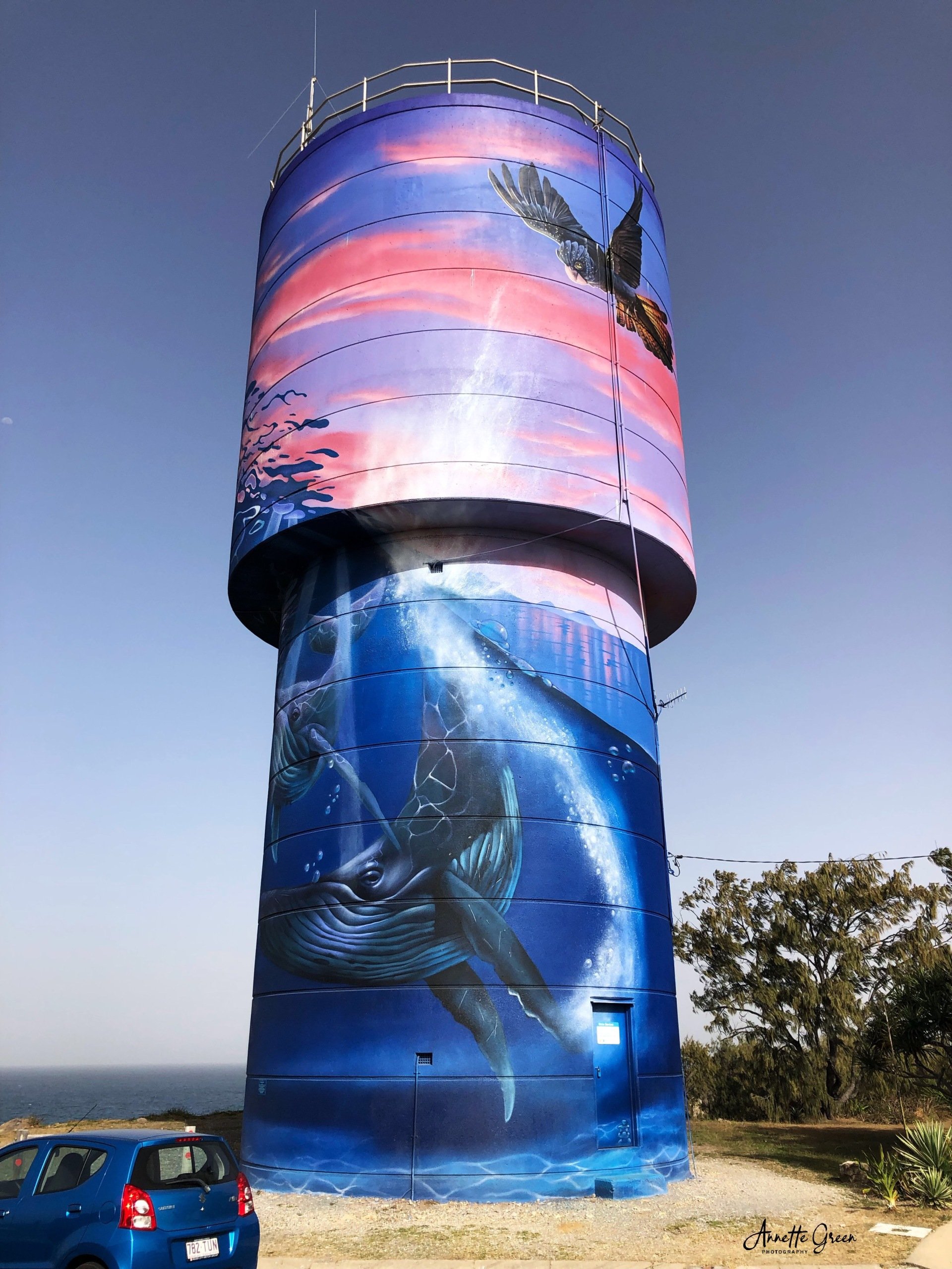 Slade Point Water Tower Art
