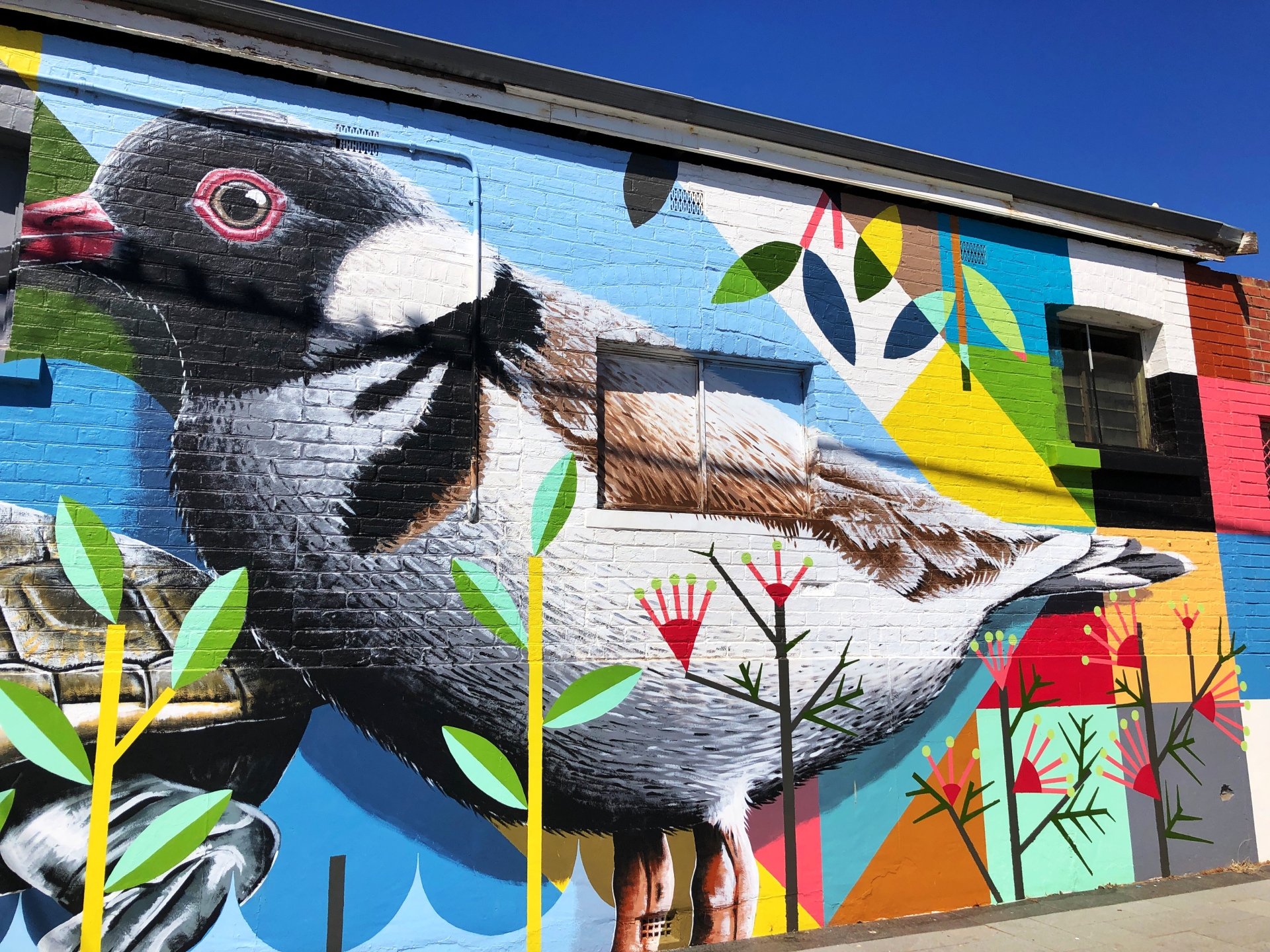 Australian Silo Art Trail