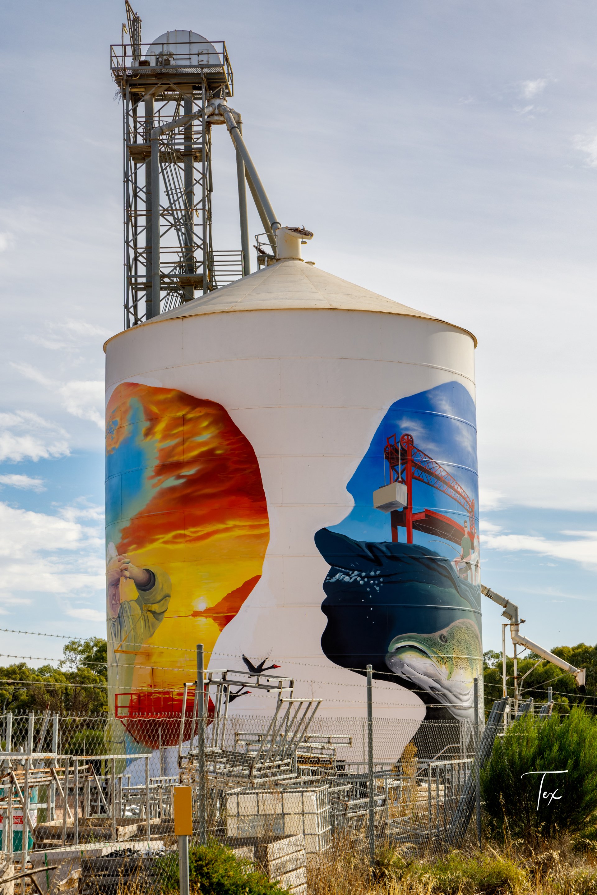 Paringa Silo Art