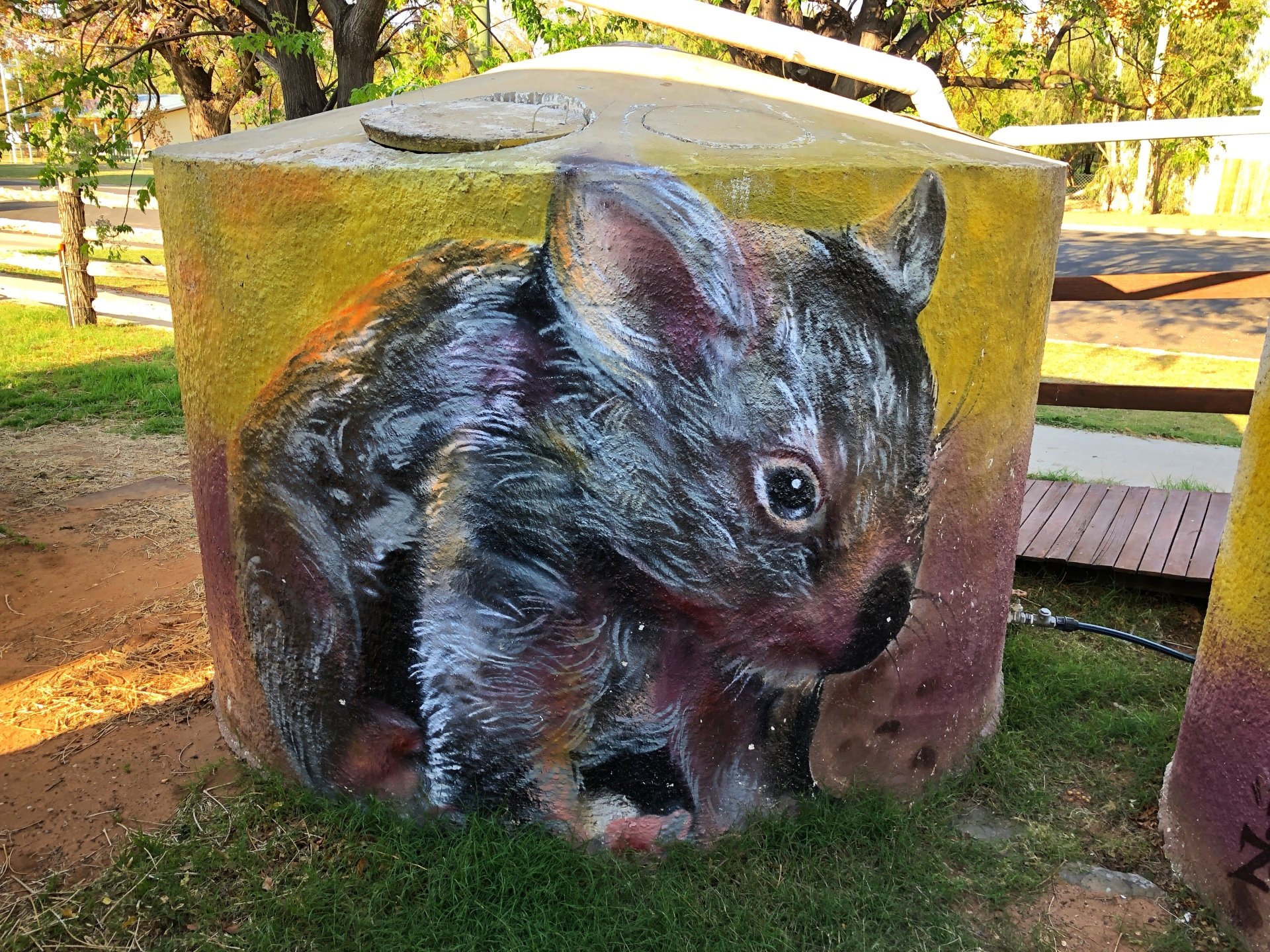 Thallon Wombat Tank Art