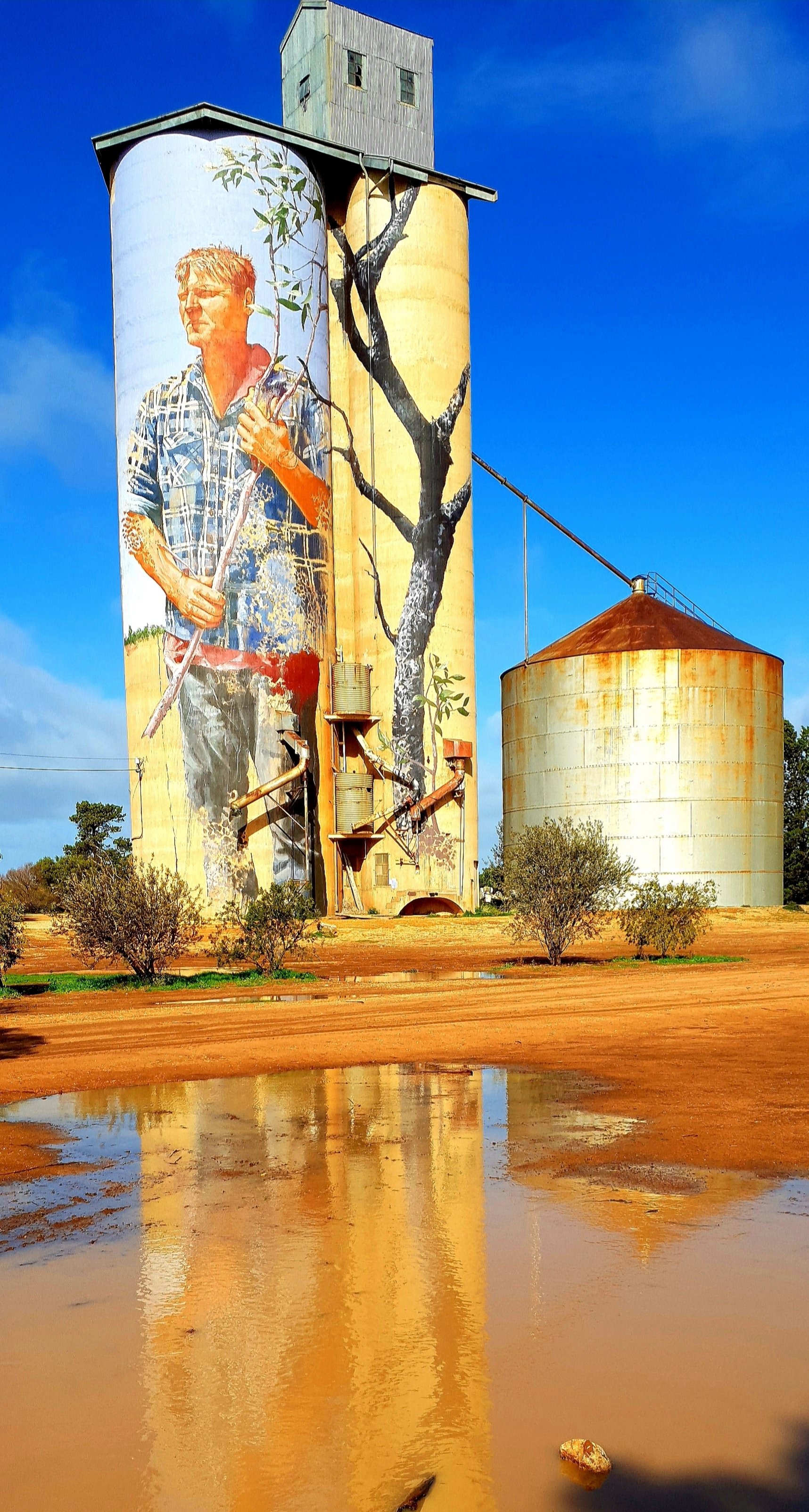 Australian Silo Art Trail Gallery of Photos