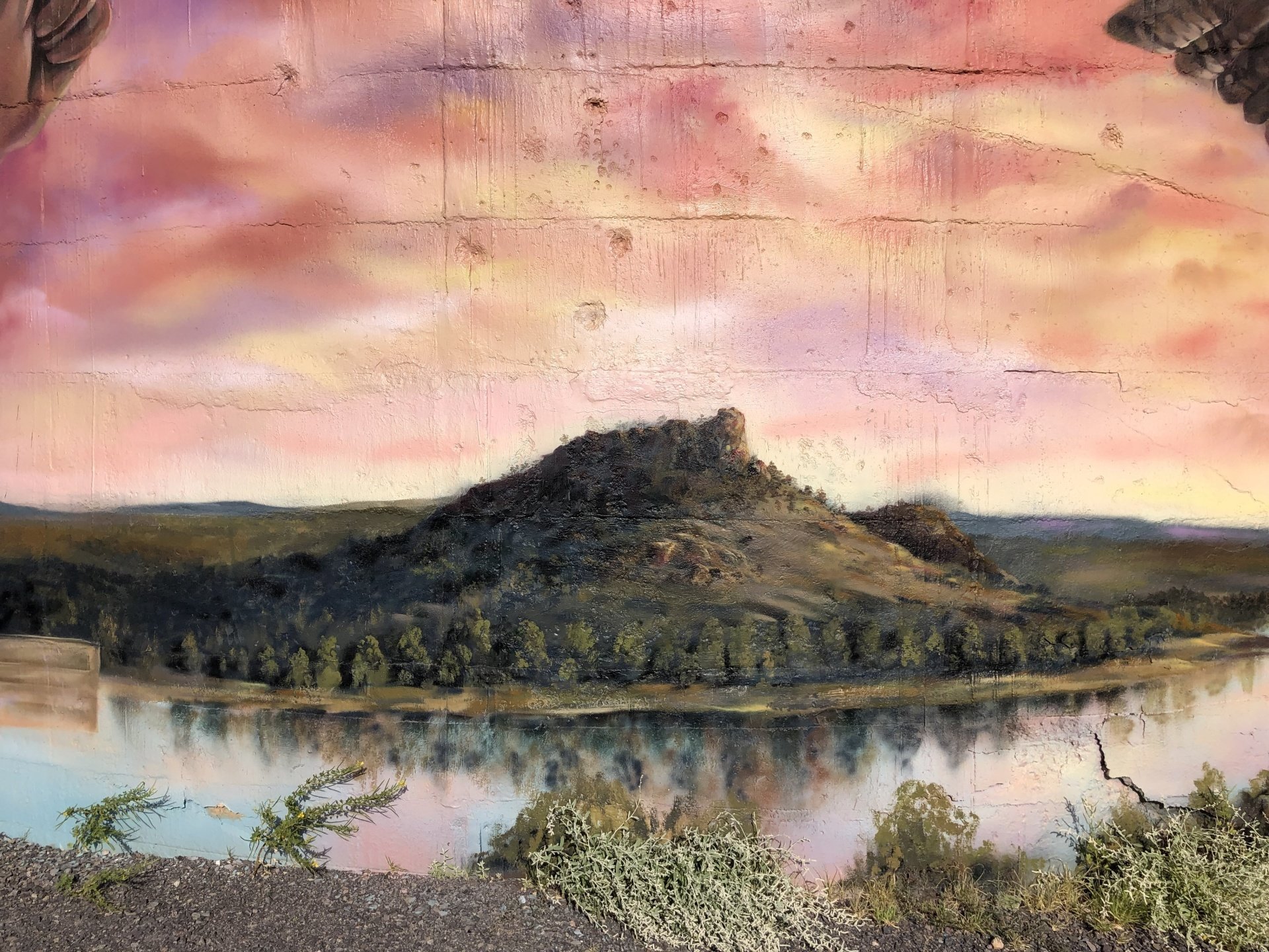 Cloncurry Water Tank Art