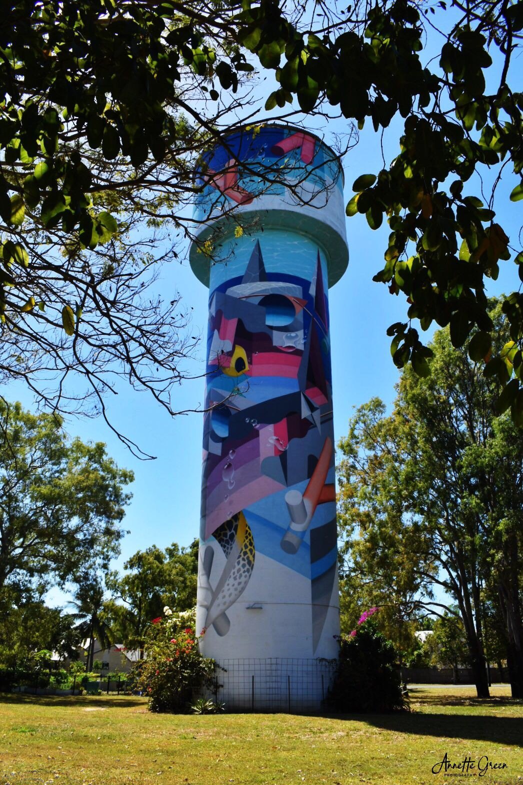 Australian Water Tower Art