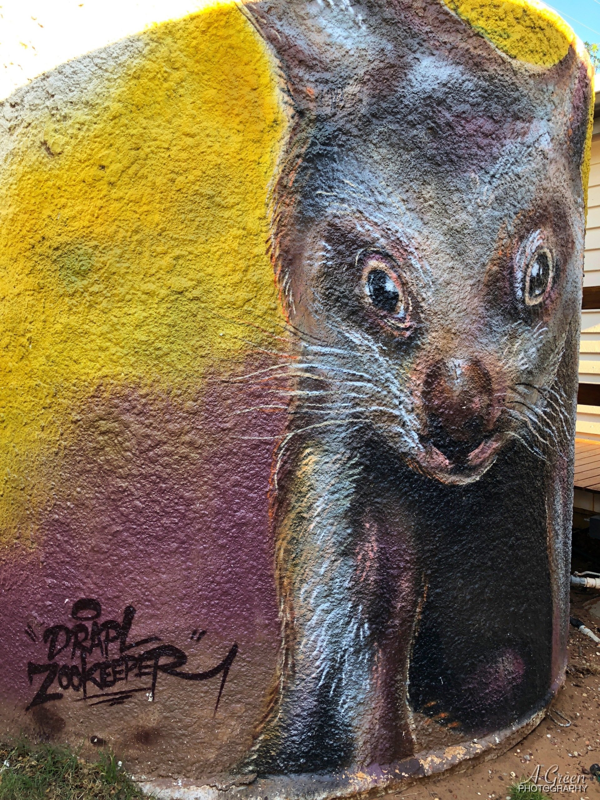 Thallon Wombat Tank Art