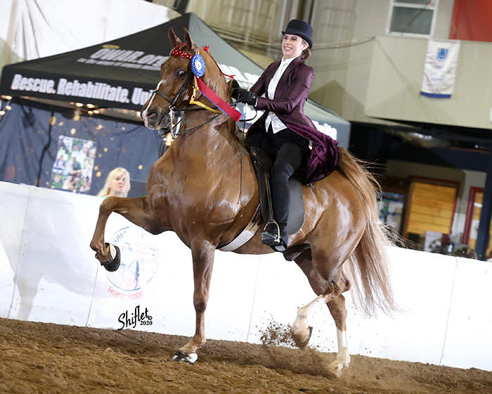 News About West Wind Stables • Statesville NC Horse Trainers