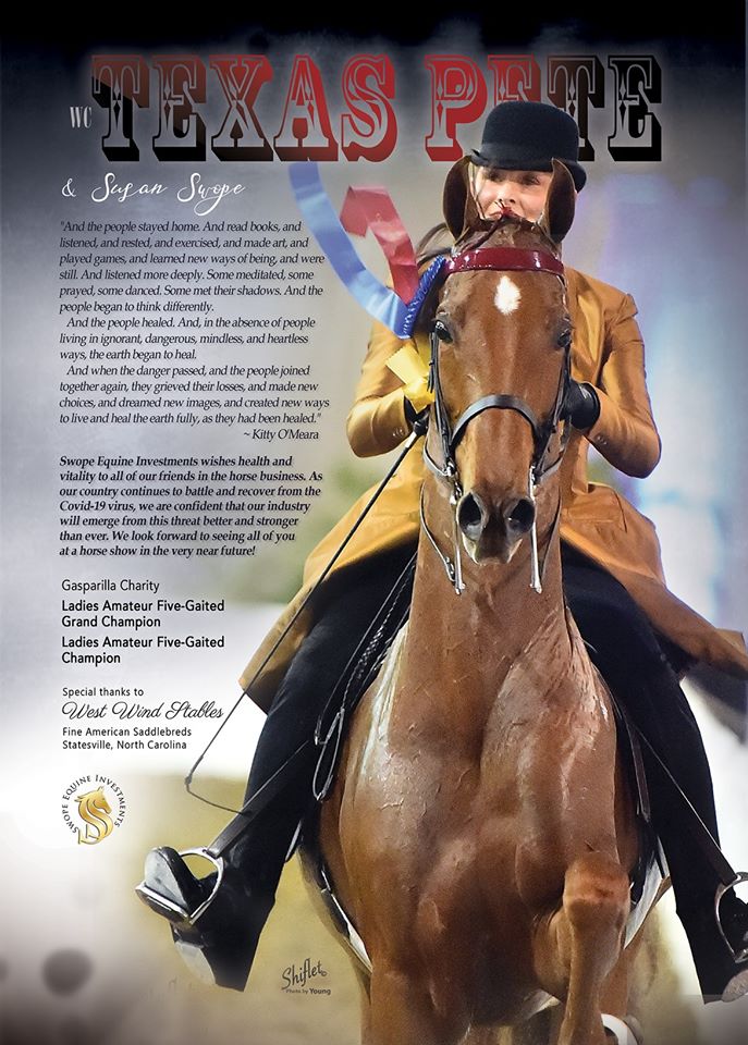 News About West Wind Stables • Statesville NC Horse Trainers