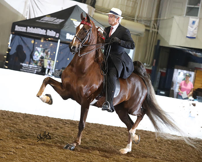 News About West Wind Stables • Statesville NC Horse Trainers