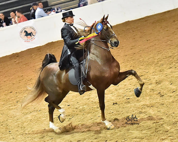 News About West Wind Stables • Statesville NC Horse Trainers