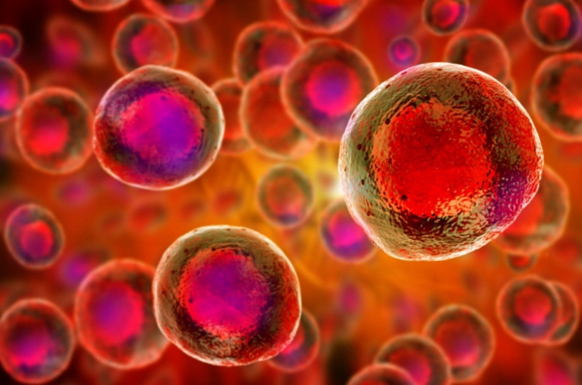 Biologic Injections Baton Rouge | Knee Injections Baton Rouge