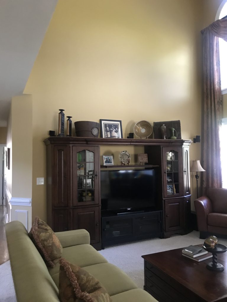 A Contemporary Styled Family Room