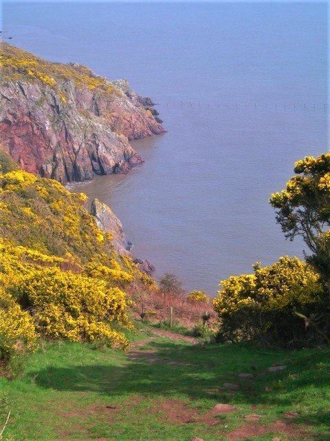 Bluebell Lodge - Kippford - Attractions and Places to Visit nearby