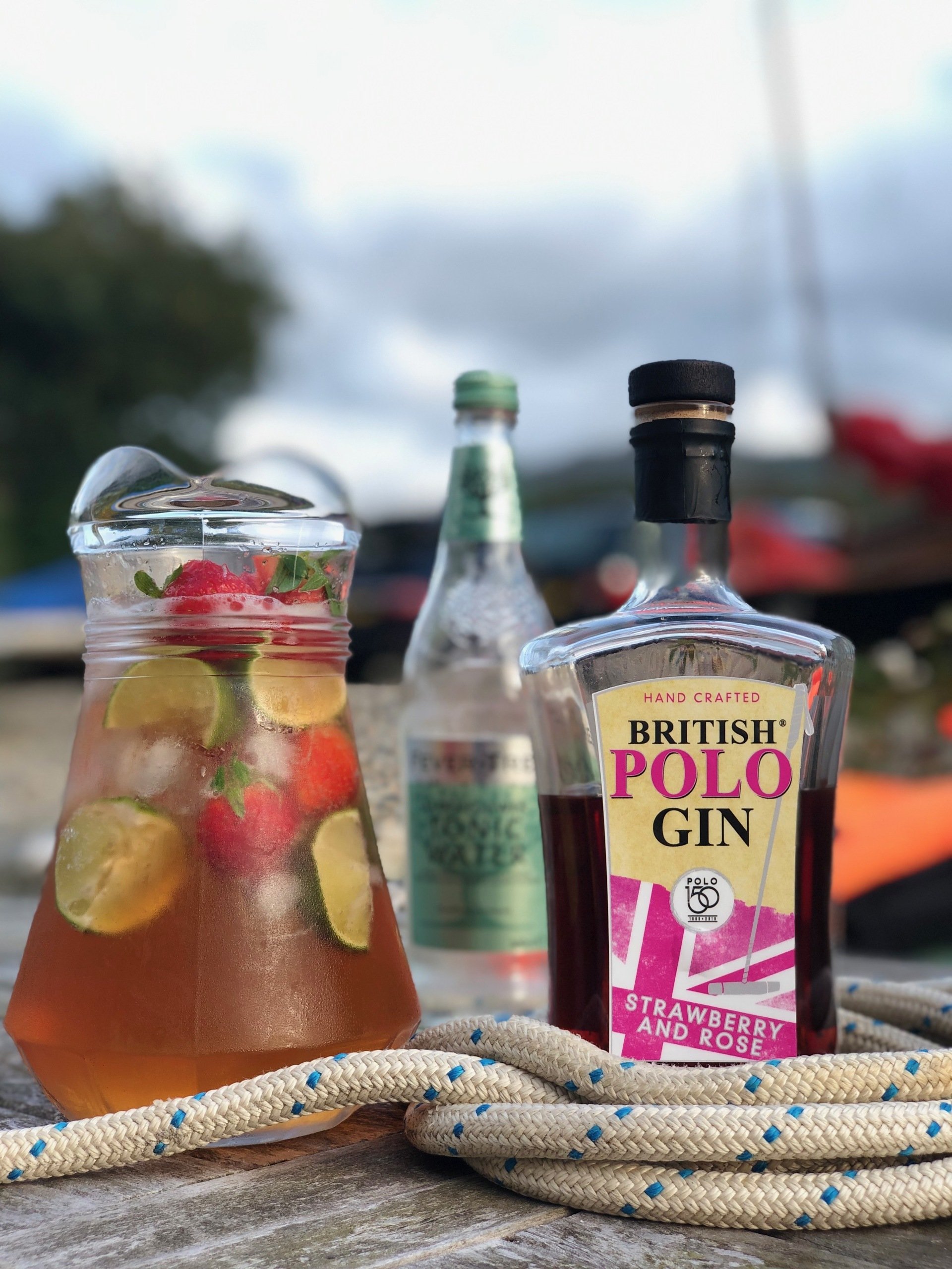 British Polo Gin Perfect Serve