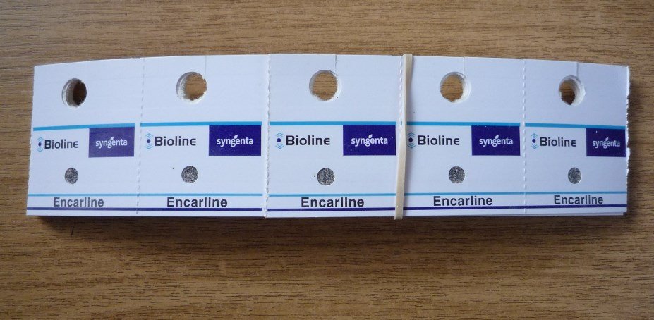 Kirton Farm Nurseries Ltd home of the Hairy Pot Plant Co