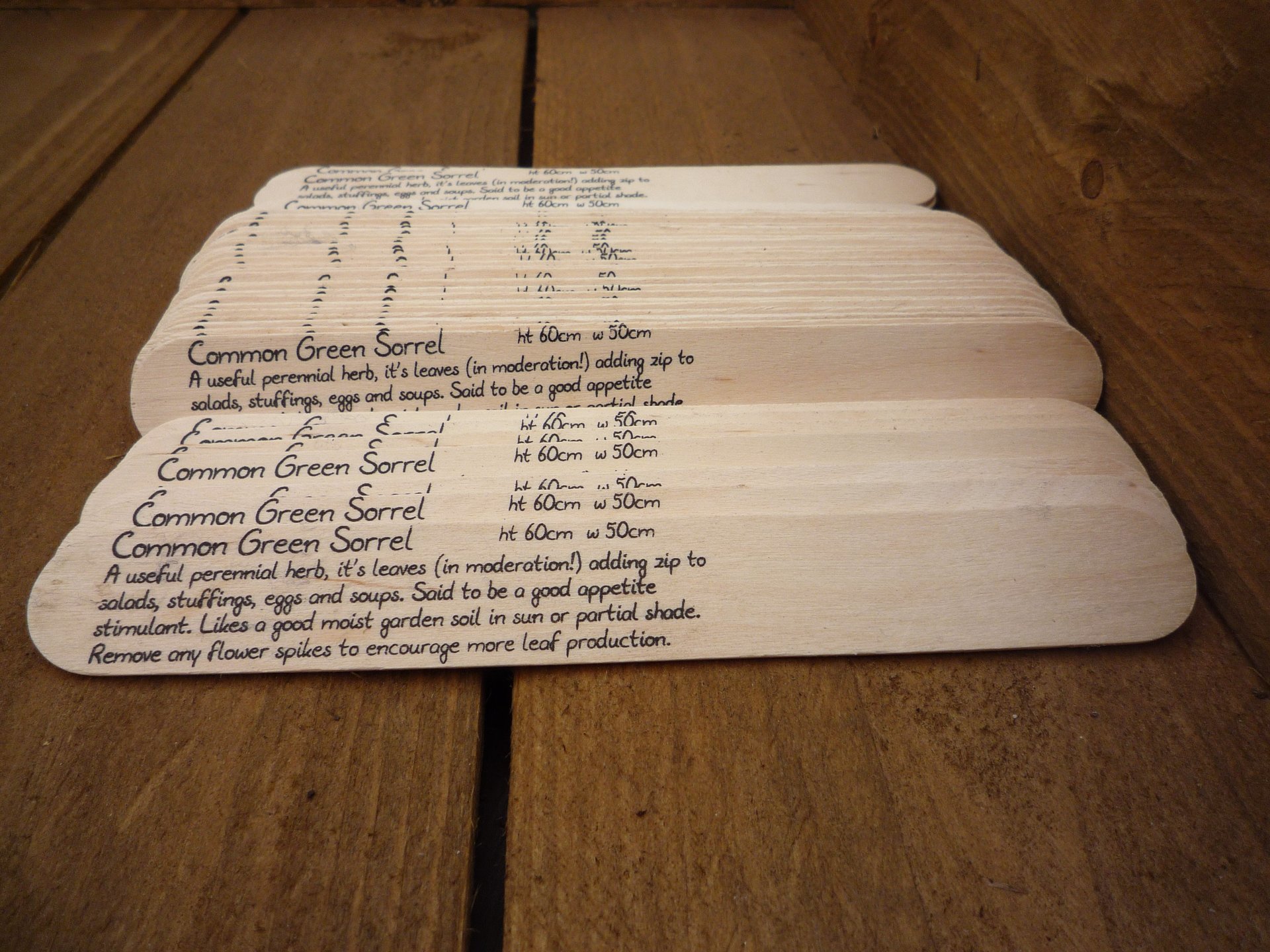 Kirton Farm Nurseries Ltd home of the Hairy Pot Plant Co