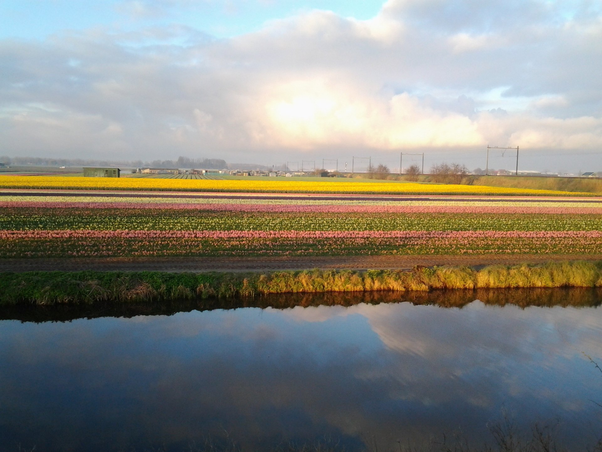 Ga mee op wandeltocht langs de leukste wandelroute Bollenstreek