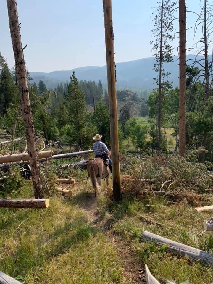 Silver Creek Outfitters | About | Steamboat Springs, CO