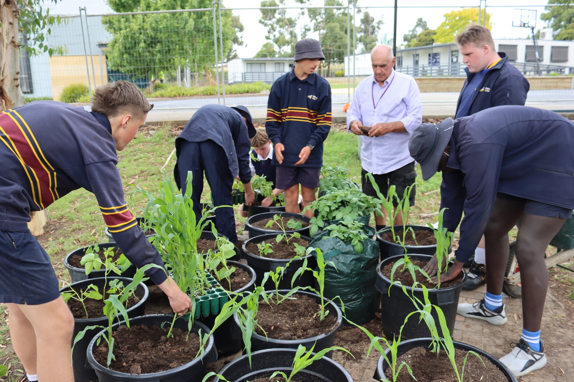 Year 10 HASS Ships Program
