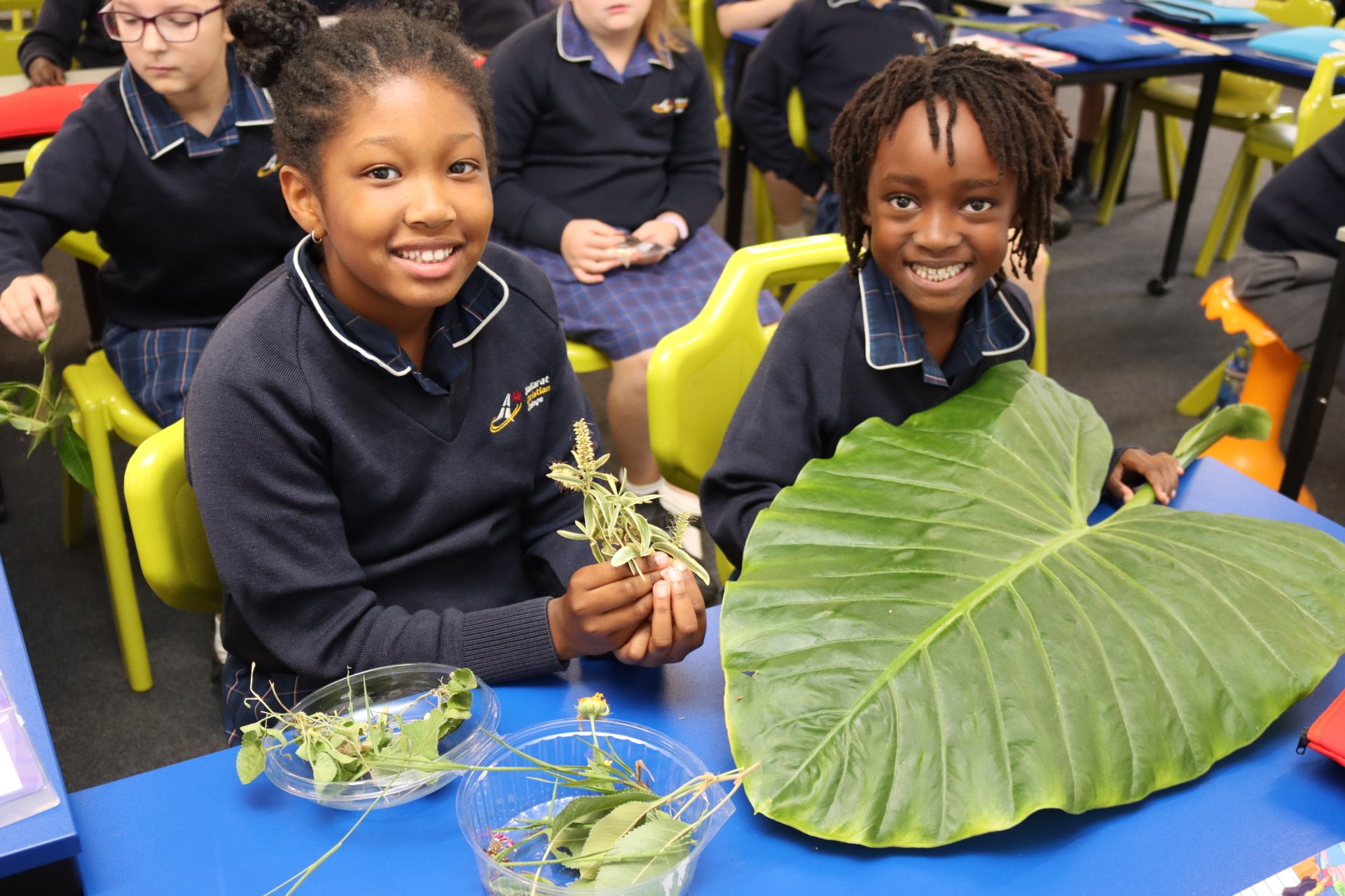 Year 3-4: Ecolinc Plant Incursion