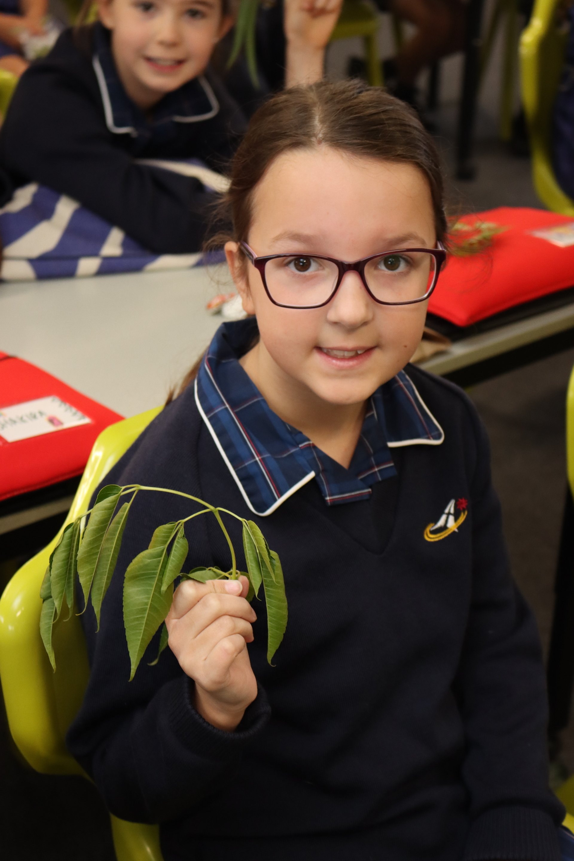 Year 3-4: Ecolinc Plant Incursion
