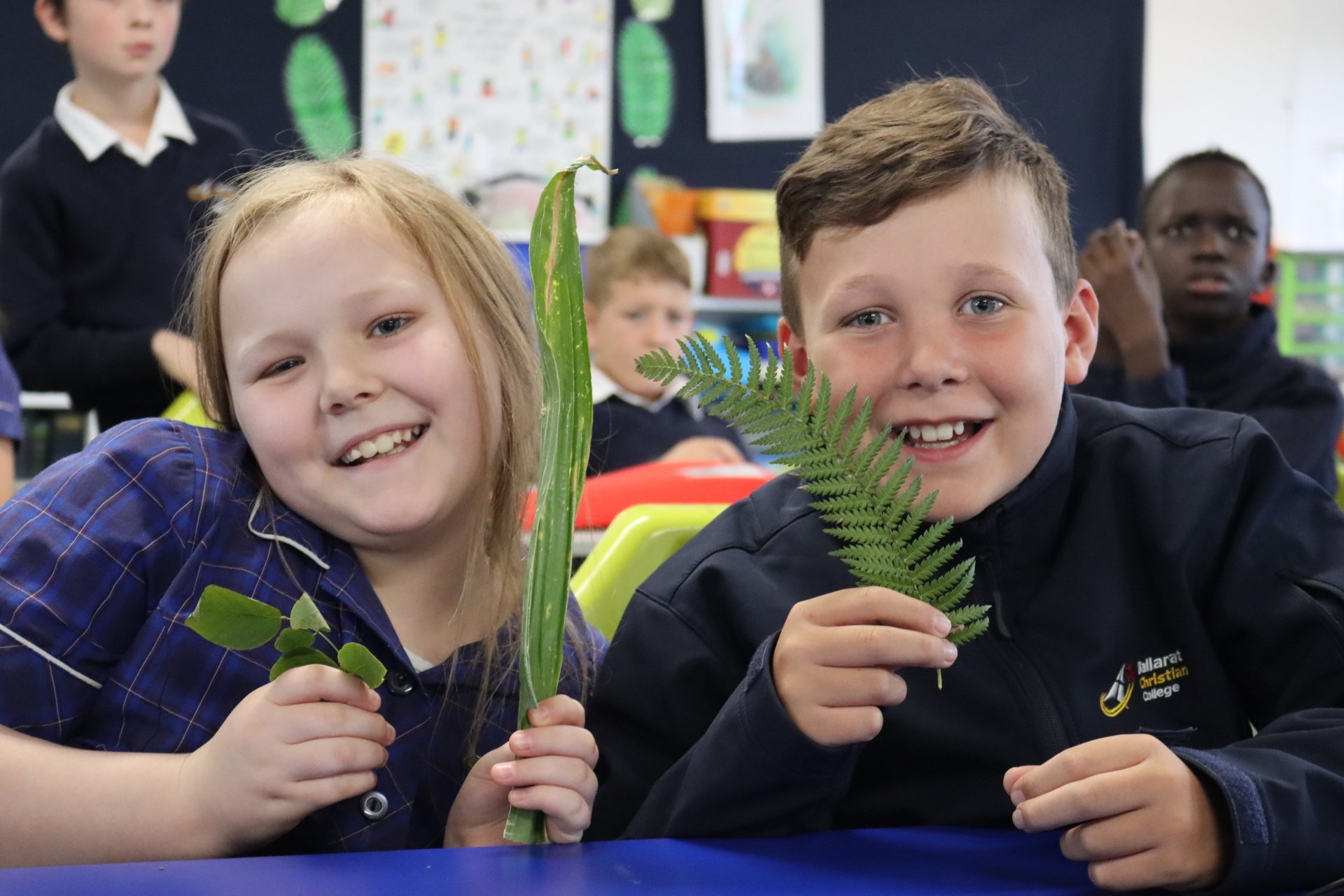 Year 3-4: Ecolinc Plant Incursion