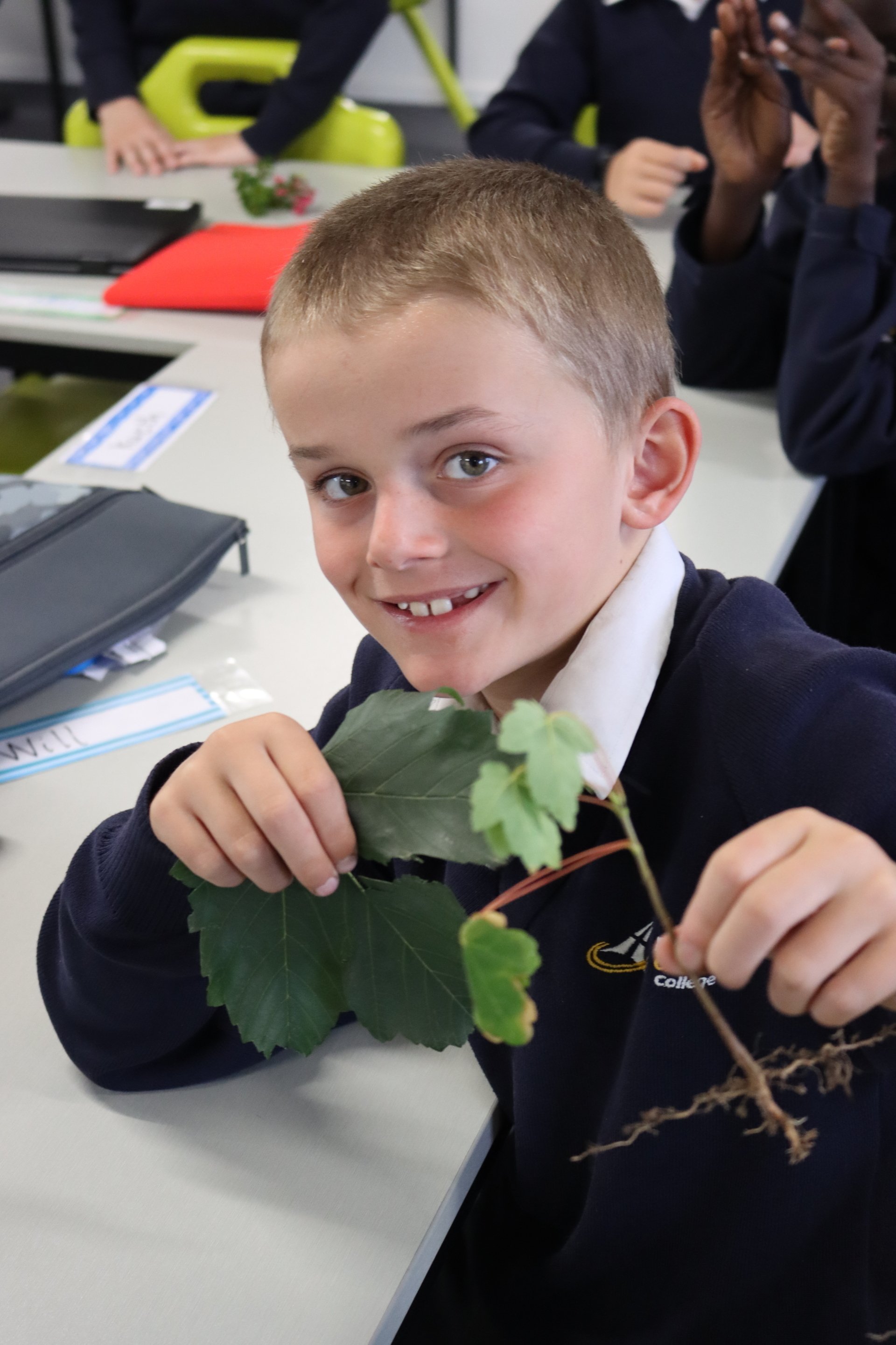 Year 3-4: Ecolinc Plant Incursion
