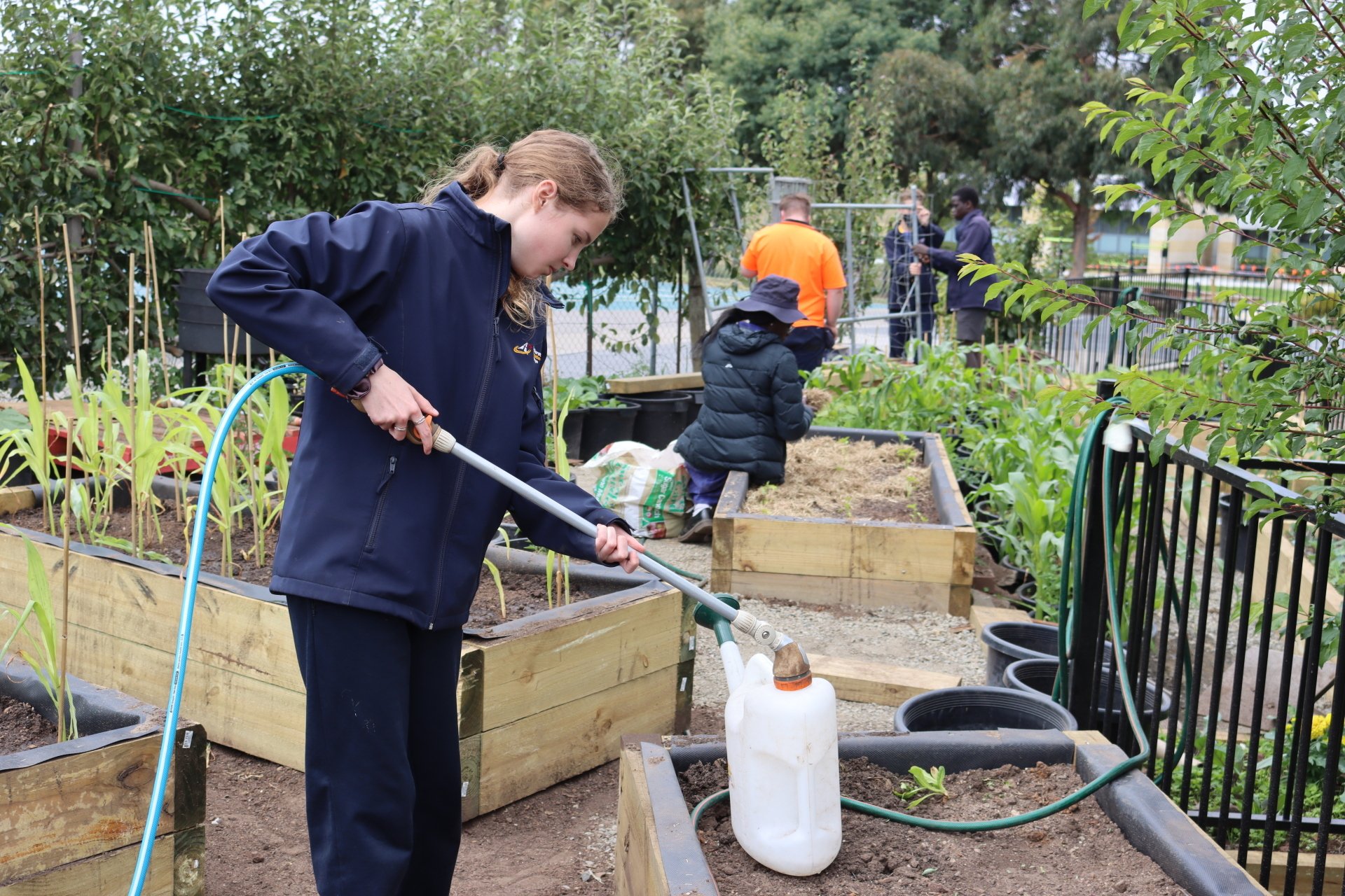 Year 10 HASS SHIPS Program