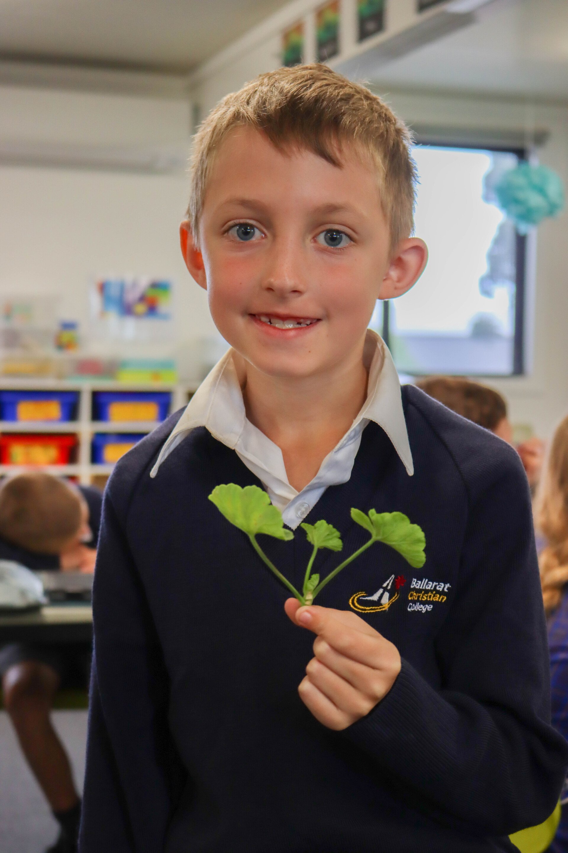 Year 3-4: Ecolinc Plant Incursion