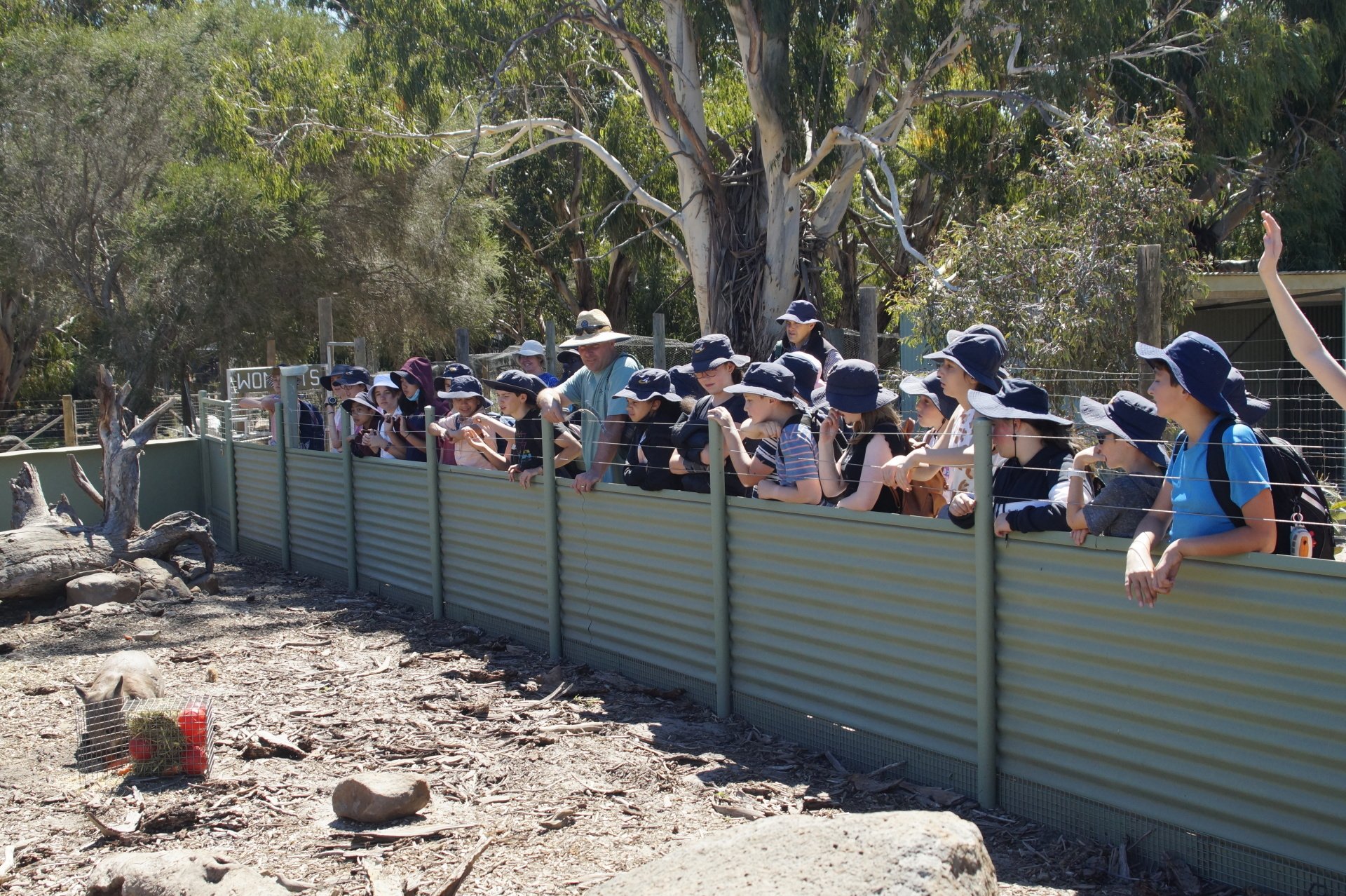 Year 7: Halls Gap Camp