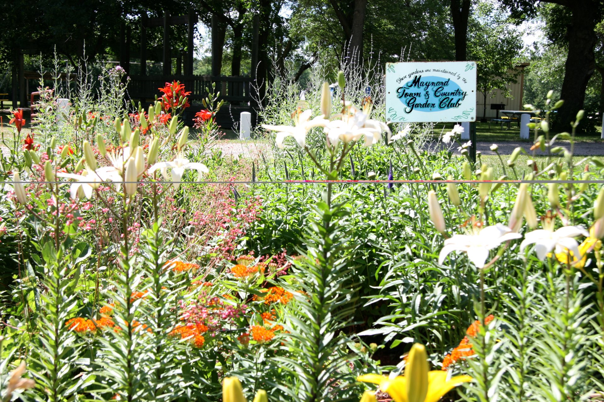 City Organizations | City of Maynard | Minnesota