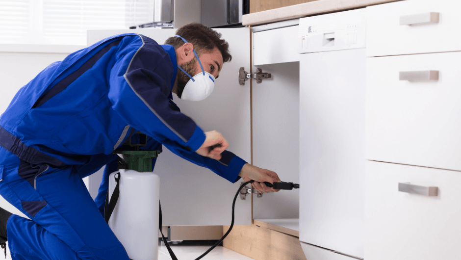 Allied Pest Control & Exterminating | Pest Control Service Brunswick Co