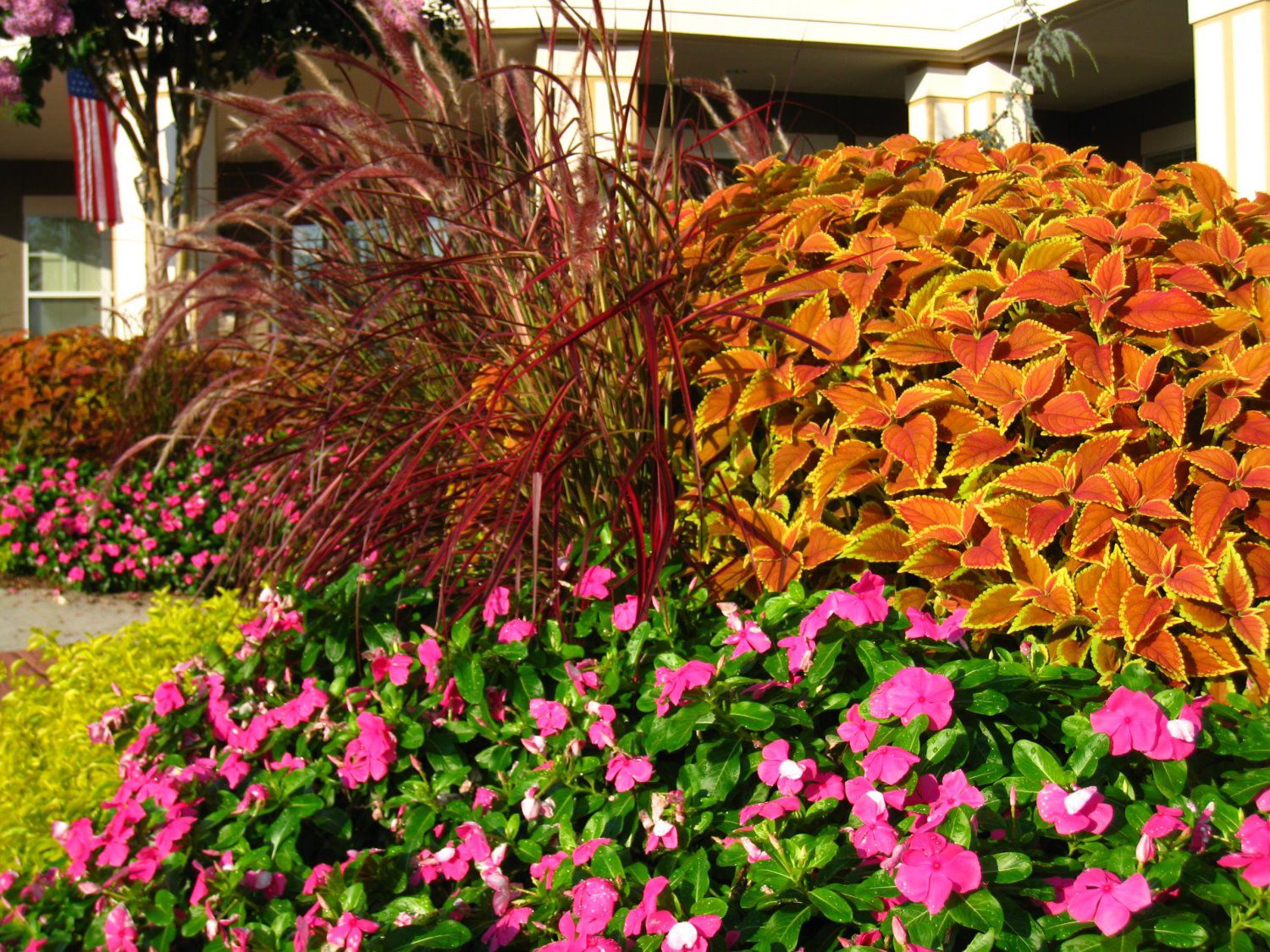 Spectacular Summer Flower Display - Color Burst