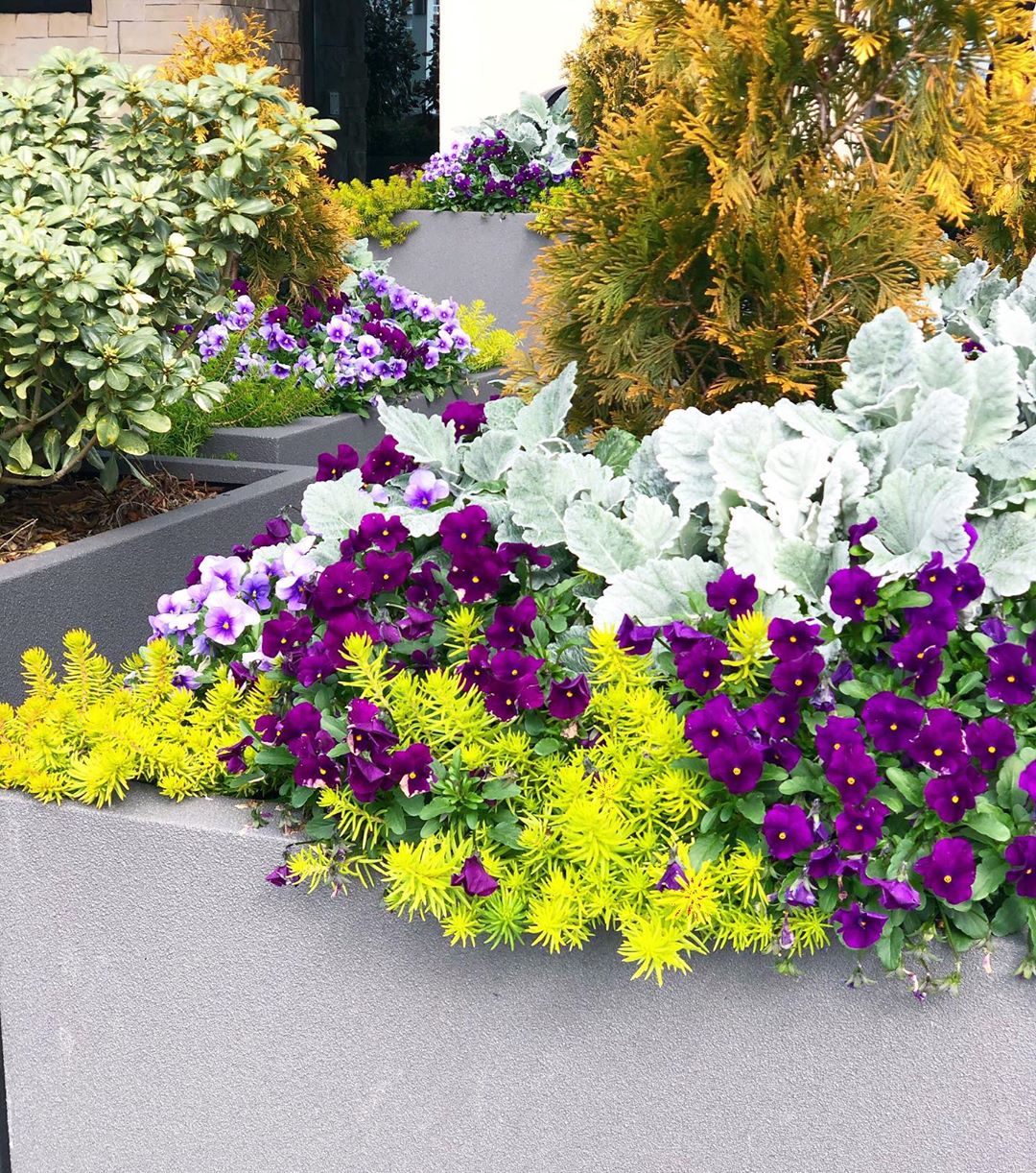 Spectacular Summer Flower Display - Color Burst