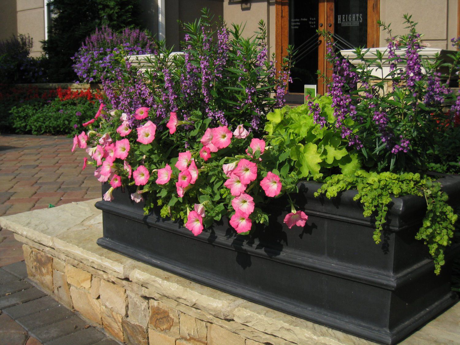 Pretty Planters Flower Display - Color Burst