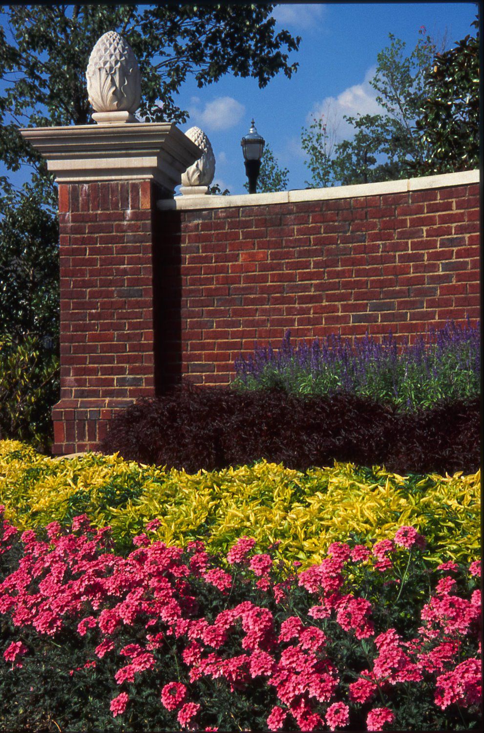 Spectacular Summer Flower Display - Color Burst
