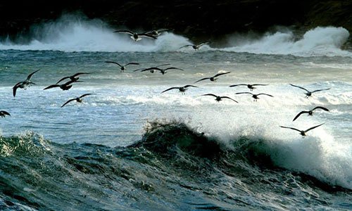 Guided tours | Rousay Tours