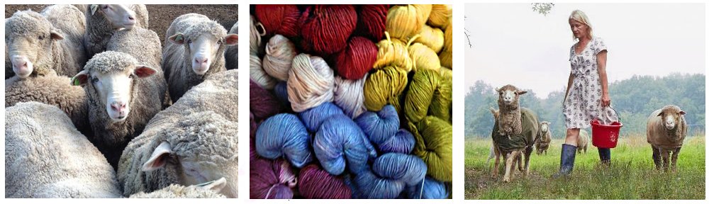 White Barn Farm Sheep and Wool