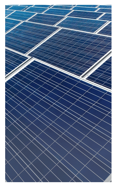 Investment opportunities | Alinea Capital Ltd