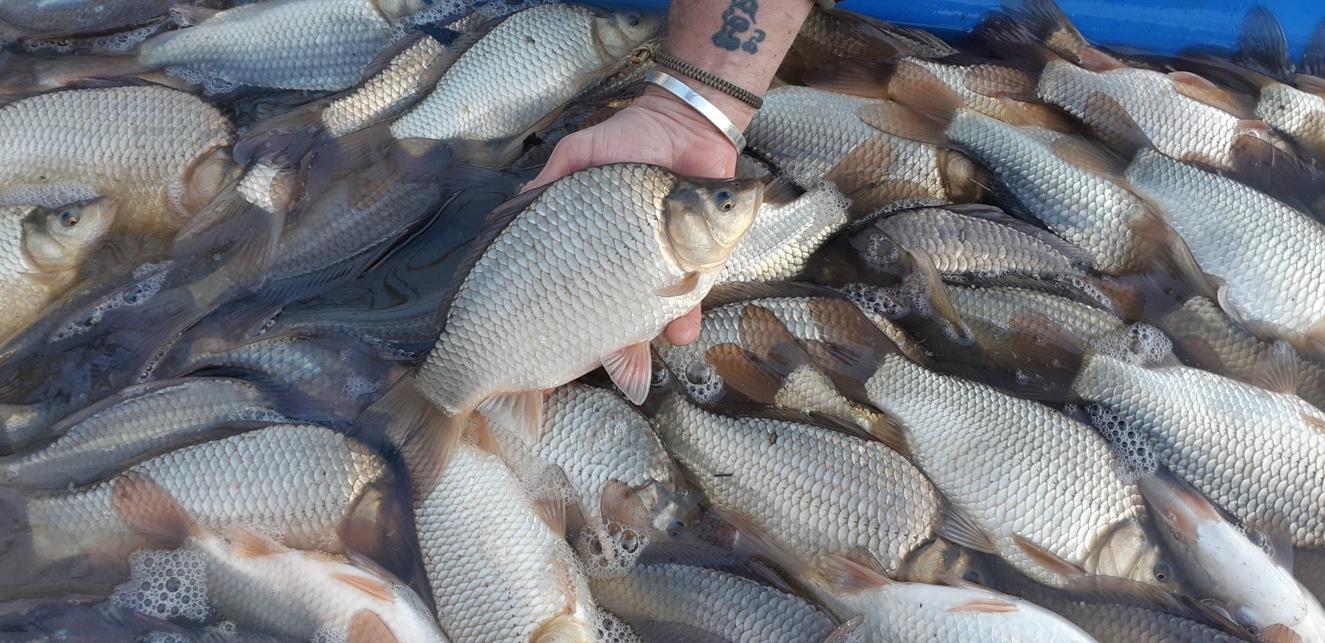 About Us | Fishers Pond Fishery | Hampshire