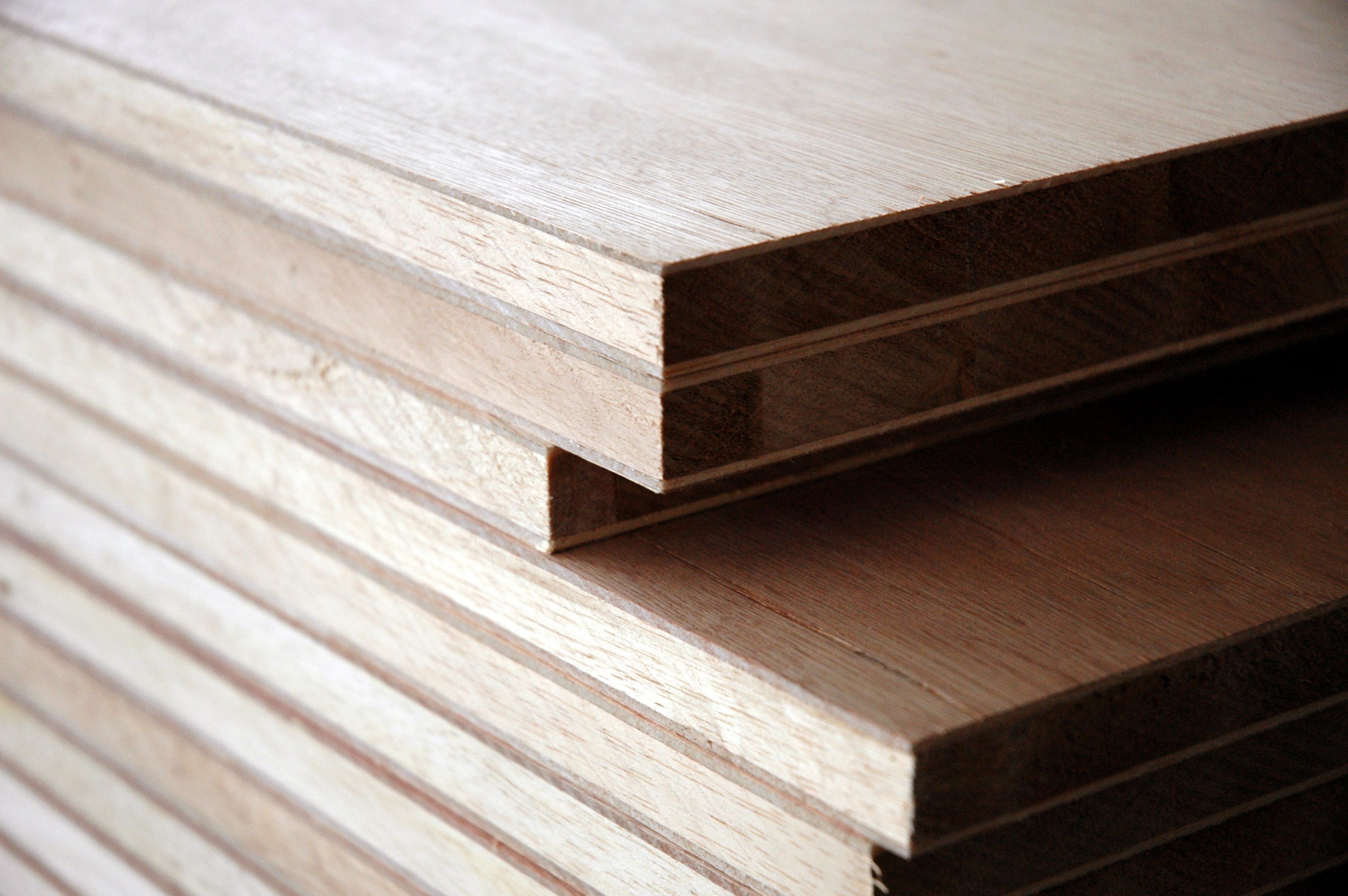 PT Mustika Buana Sejahtera, a falcata plywood manufacturer