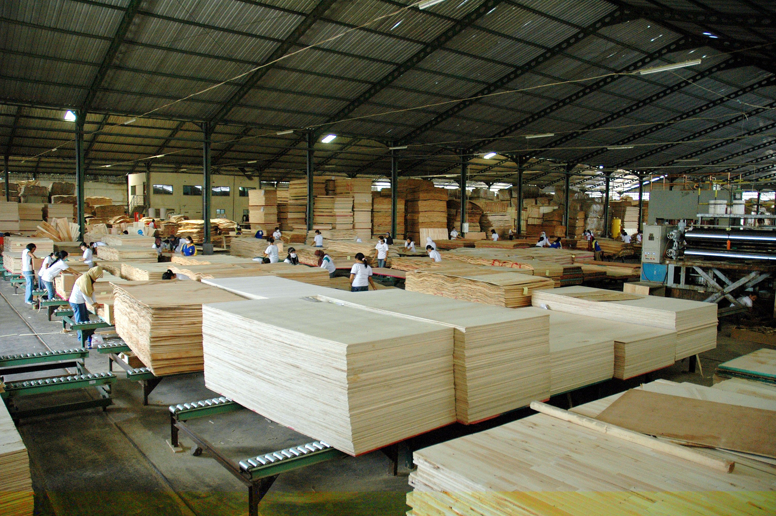 PT Mustika Buana Sejahtera, a falcata plywood manufacturer