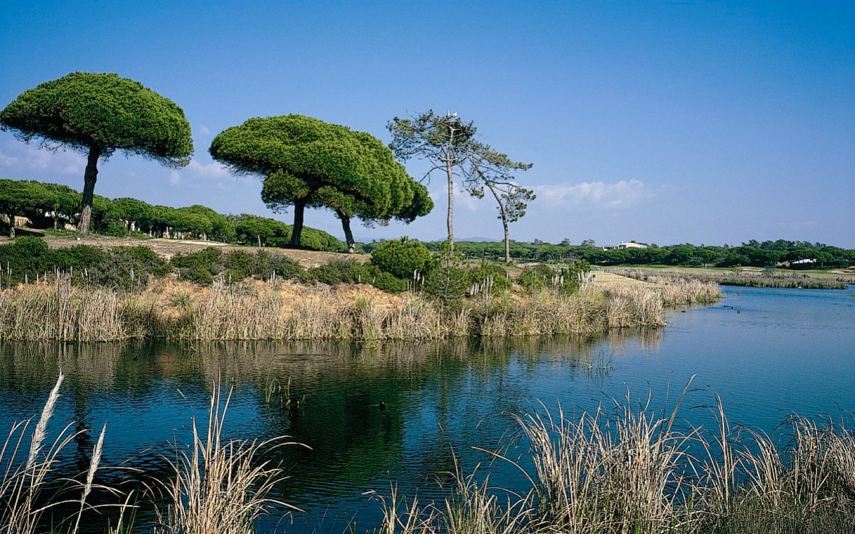 Ria Park Hotels – Algarve, Portugal