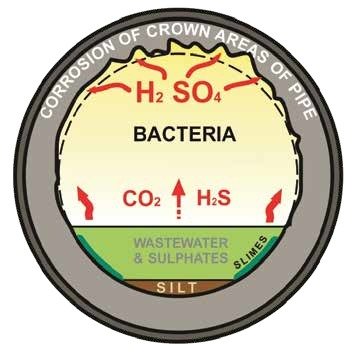 ArmorLok PVC Concrete Protective Liners