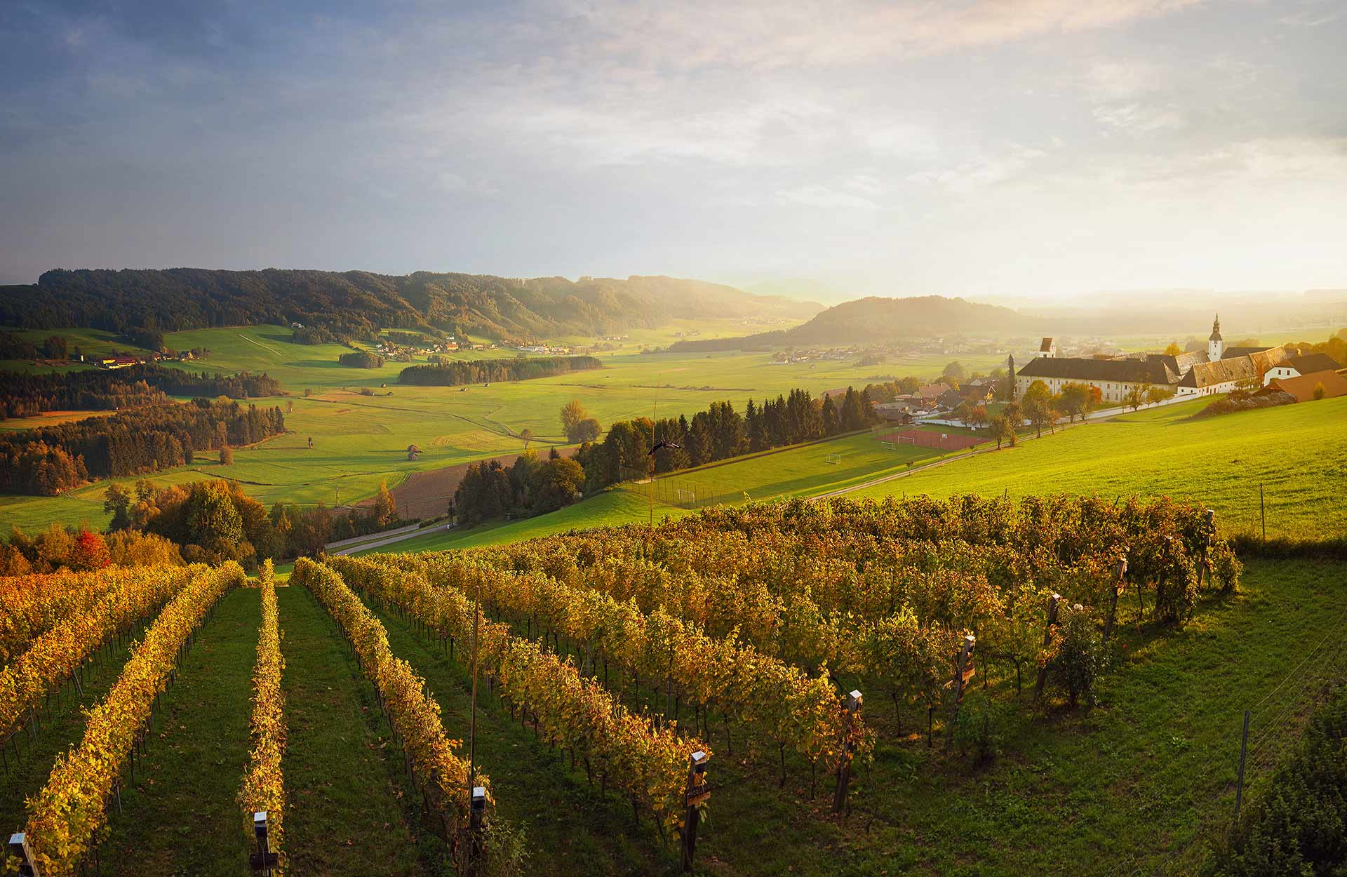 Weinbauregion Bergland