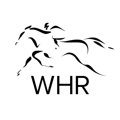 World Horse Racing