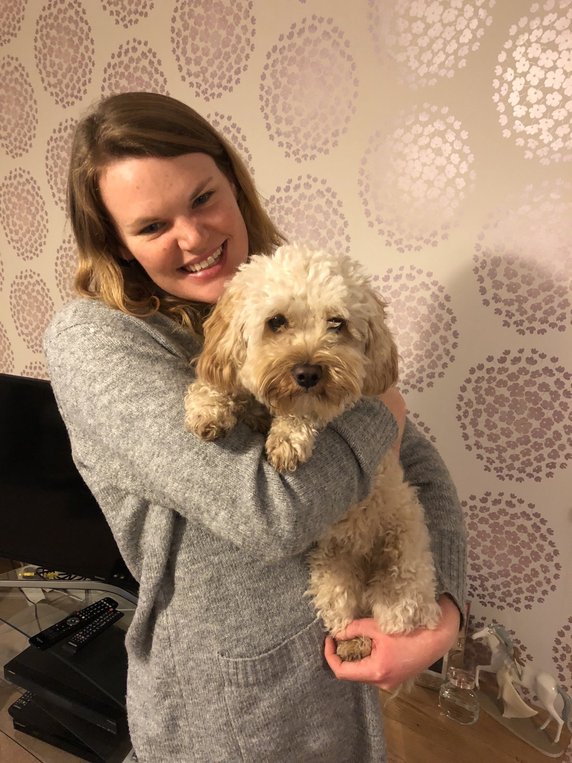 Paws Go Explore Dog walking services