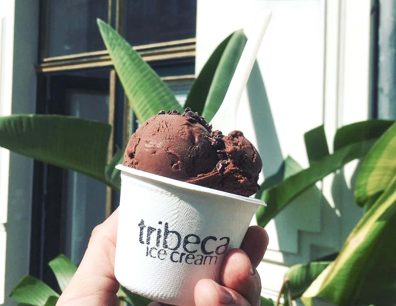 Tribeca – 100% vegan ice cream