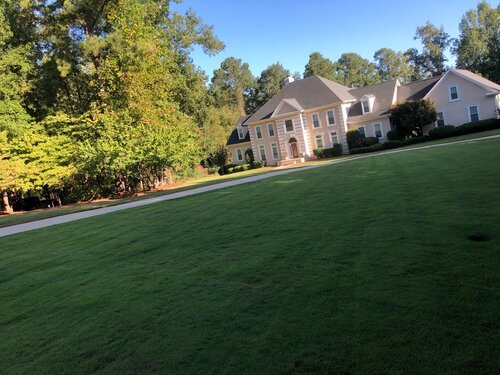 Augusta GA Lawn Care Gallery, Landscaping, Landscape Designs